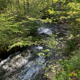 Saunders Springs Reservoir Loop, Kentucky - 115 Reviews, Map | AllTrails