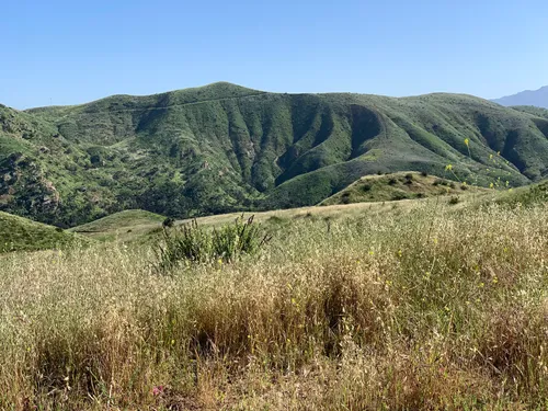 Best Hikes and Trails in Lang Ranch Open Space | AllTrails