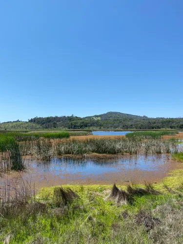 Best 10 Hikes and Trails in Trione-Annadel State Park | AllTrails