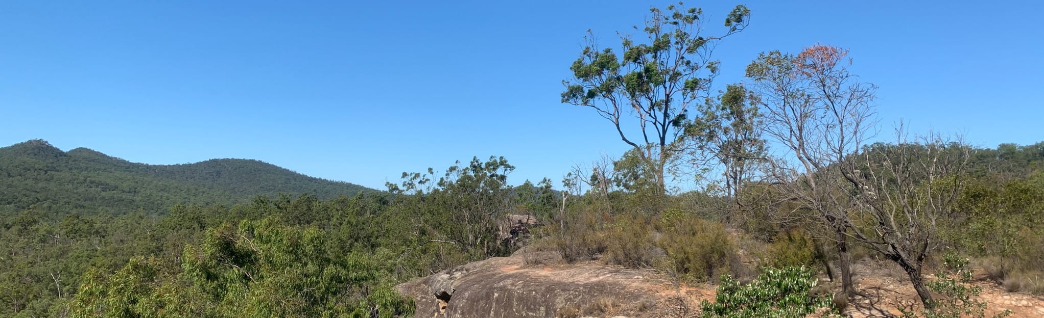 White Rock and Spring Mountain Circuit: 74 Reviews, Map - Queensland ...