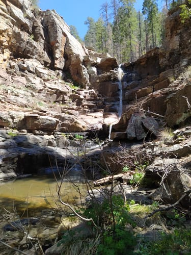 Best Hikes and Trails in Sierra Ancha Wilderness Area | AllTrails