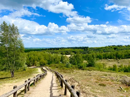 2023 Best 10 Trail Running Trails in Utrechtse Heuvelrug National Park ...