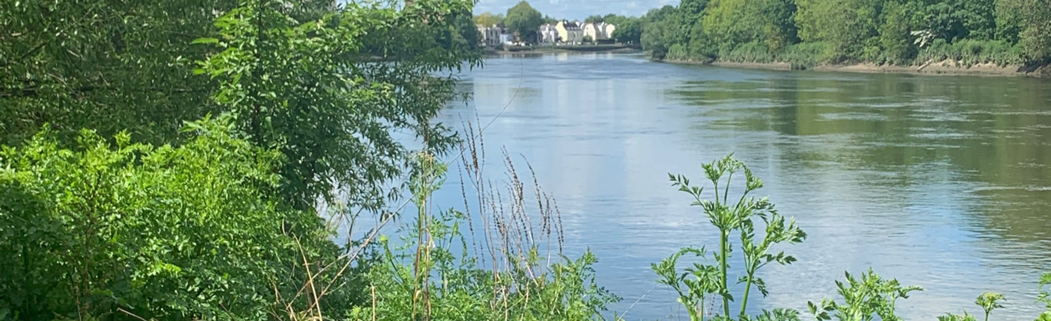 Kew Bridge and Barnes Bridge Circular: 35 Reviews, Map - London ...