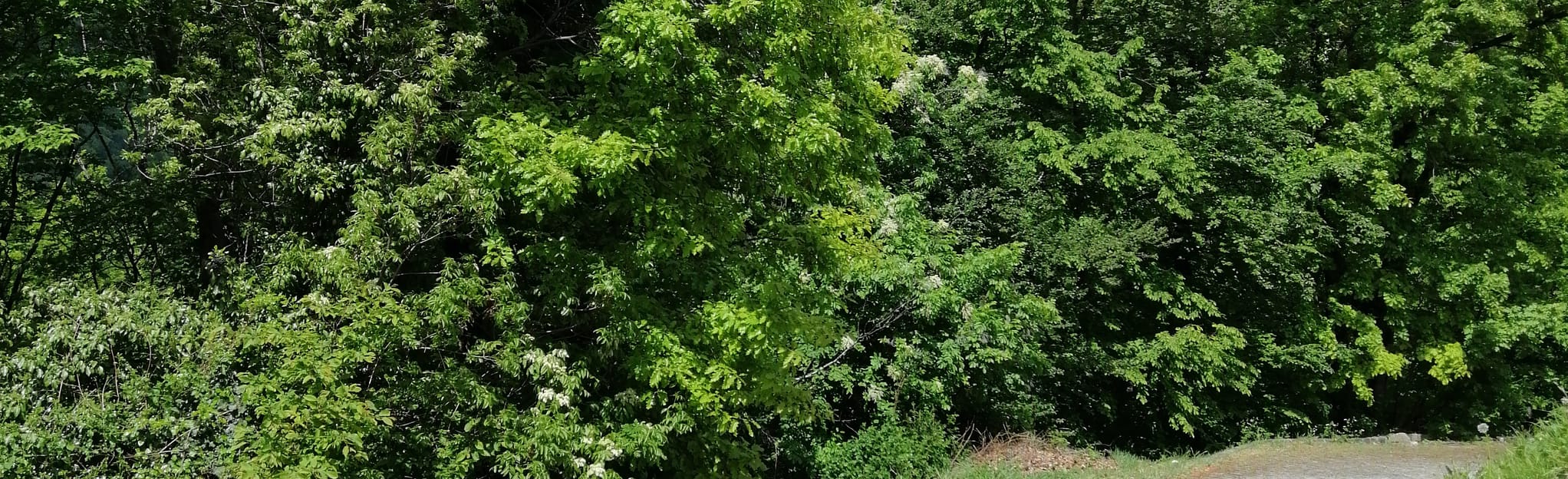 Šestine - Medvedgrad - Grafičar - Sljeme | Map, Guide - City of Zagreb ...