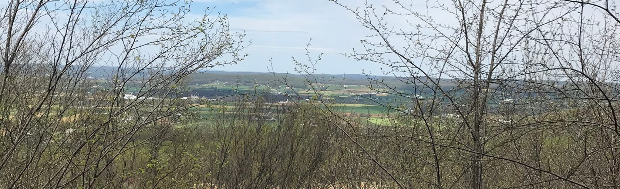 Money Rocks Cockscomb Trail Loop: 383 Reviews, Map - Pennsylvania ...