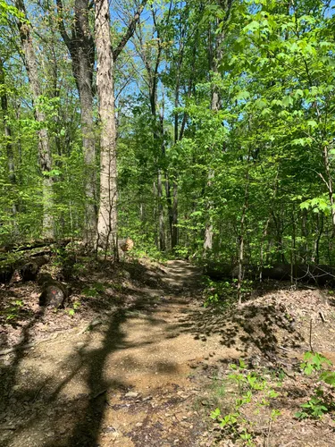 10 Best Trails and Hikes in Berea | AllTrails