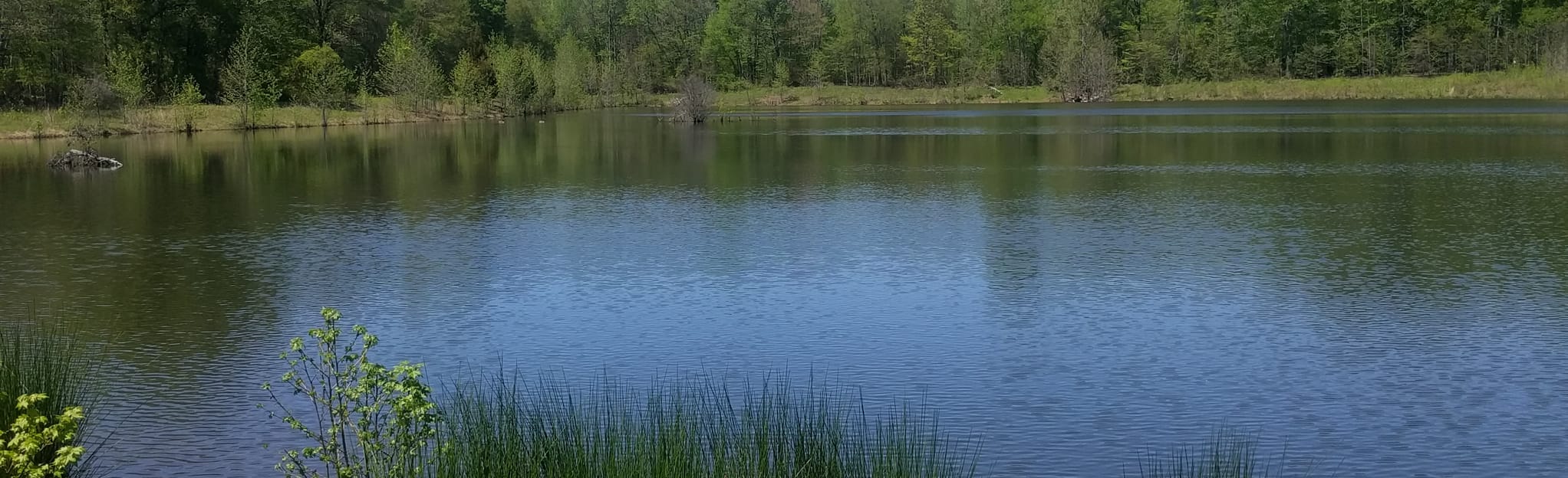 Patuxent Research Refuge North Tract Loop: 212 Reviews, Map - Maryland ...