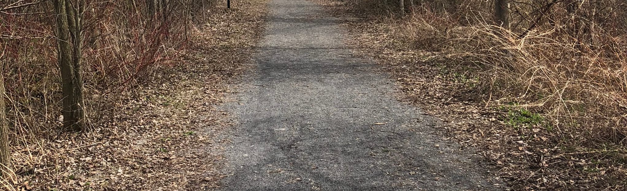 Crysler Recreational Trail: 38 Reviews, Map - Ontario, Canada | AllTrails