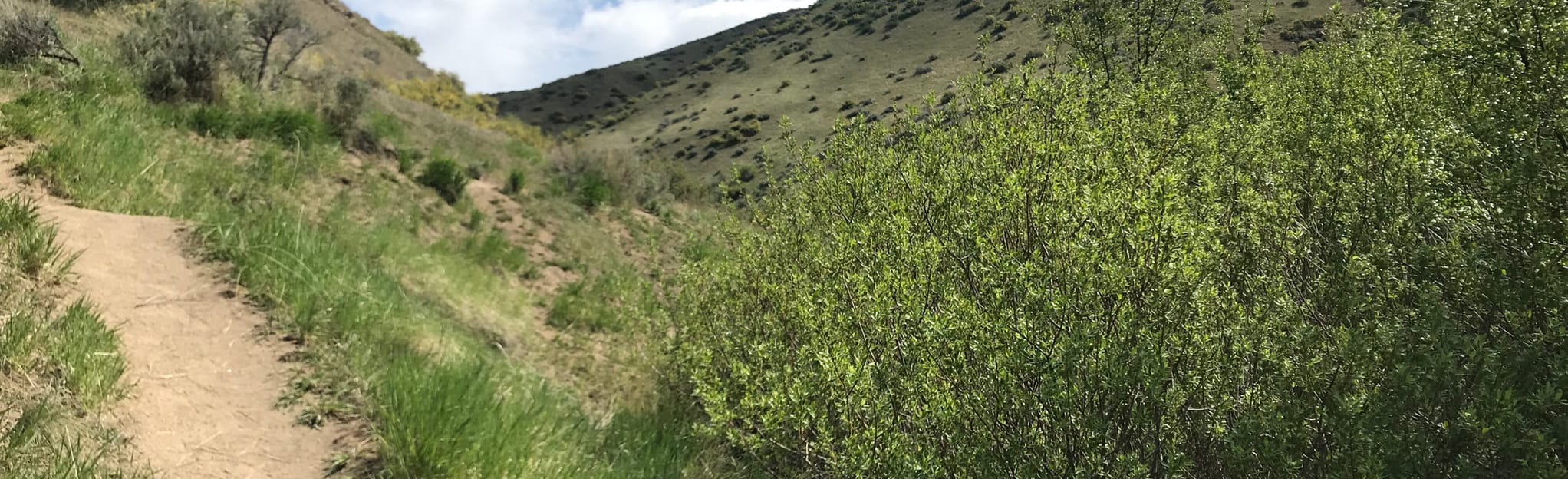 Hull's Gulch via North Sunset Peak Road: 145 Reviews, Map - Idaho ...