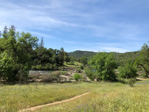 10 Best Hikes and Trails in Cronan Ranch Regional Trails Park | AllTrails