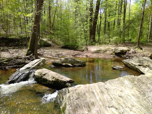 10 Best Trails and Hikes in Reston | AllTrails