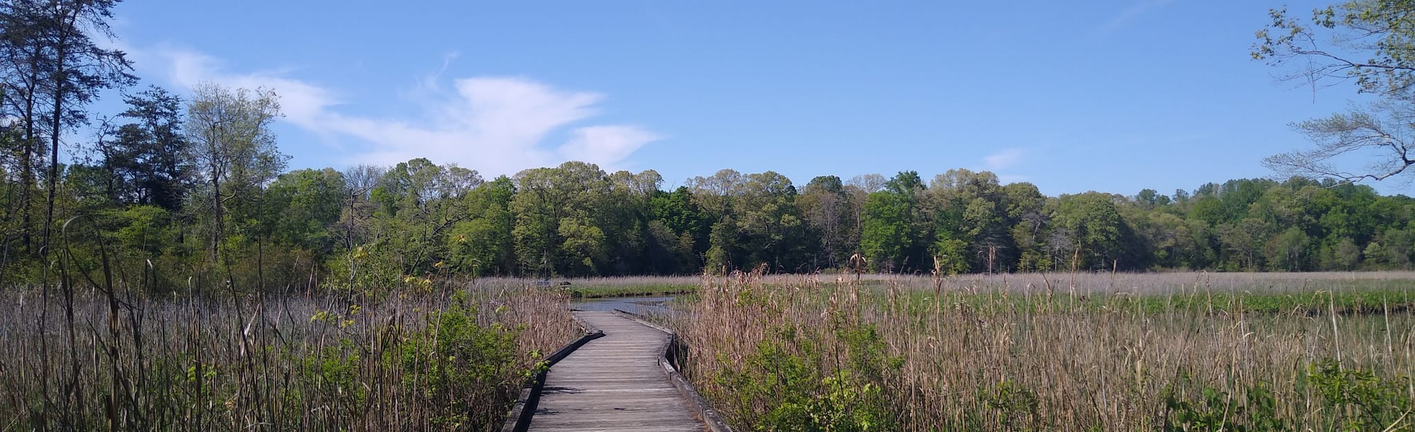 Wetlands Swamp and Teaching Trails: 22 Reviews, Map - Maryland | AllTrails