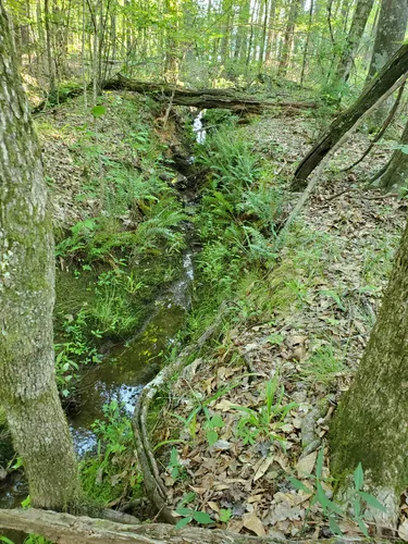 Best Hikes and Trails in Long Cane Recreation Park | AllTrails