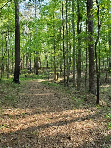 Best Hikes and Trails in Long Cane Recreation Park | AllTrails
