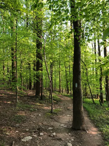 Best Hikes and Trails in Blockhouse Point Park | AllTrails