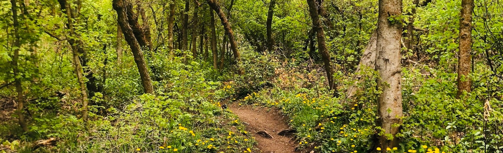 Lone Oak Loop: 430 Reviews, Map - Utah | AllTrails