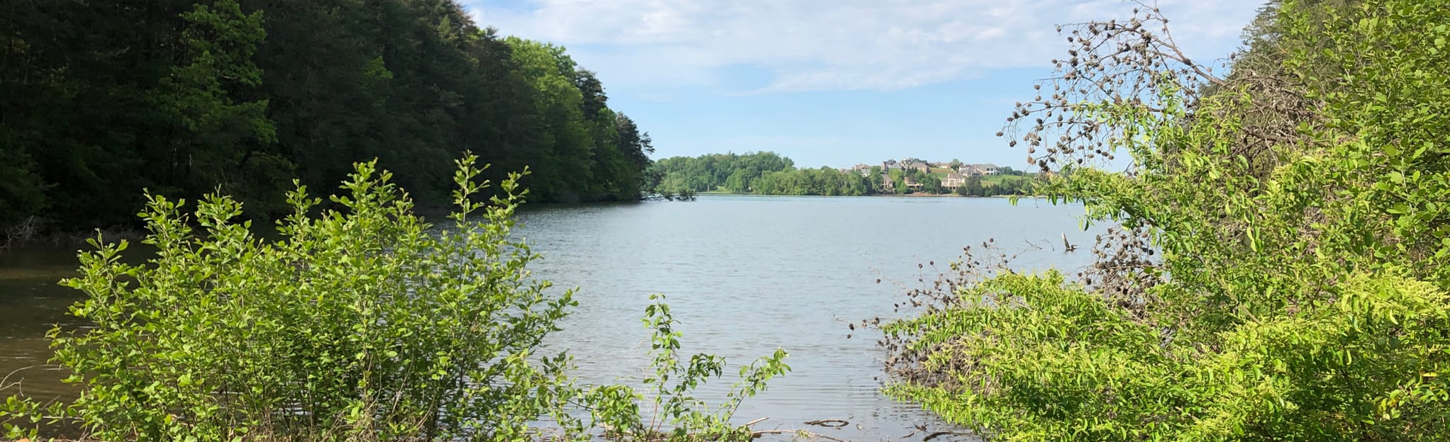 East Lakeshore Trail: Jackson Bend Branch, Tennessee - 129 Reviews, Map ...