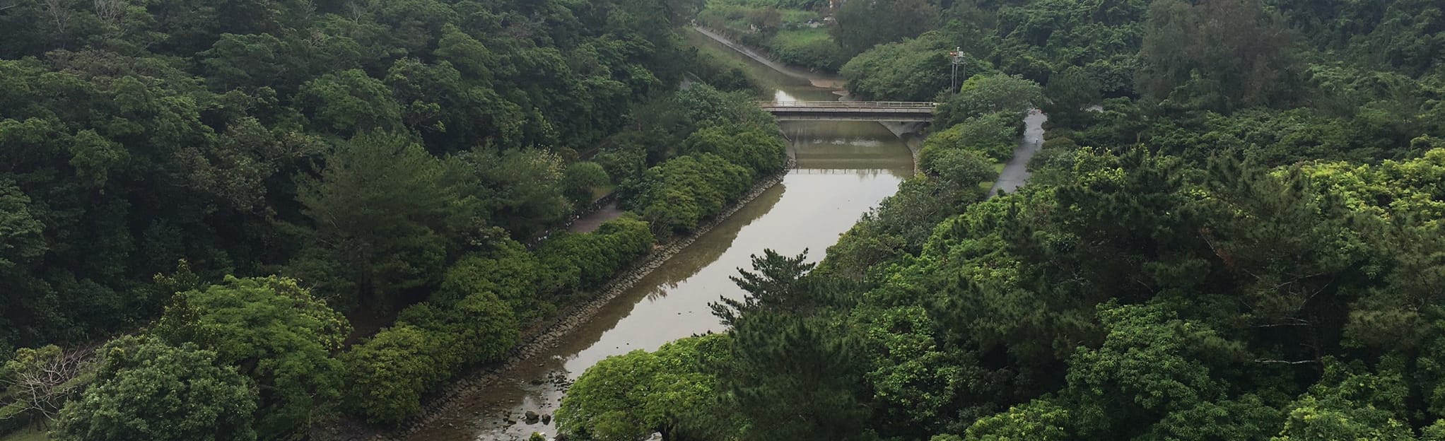 Kanna Dam Lakeside Park Loop, Okinawa, Japan - 11 Reviews, Map | AllTrails