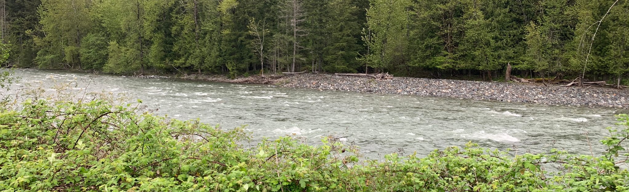 Tanner Trail, Washington - 80 Reviews, Map | AllTrails