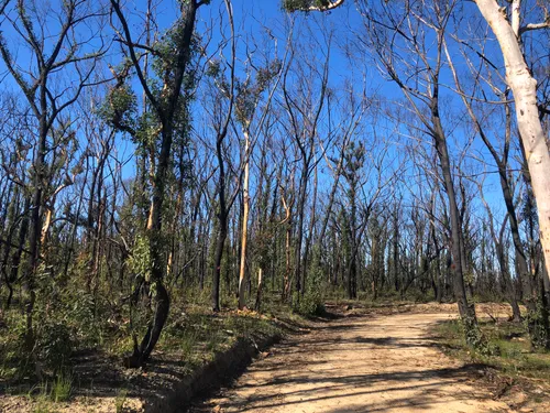 Best Hikes and Trails in Bilpin | AllTrails