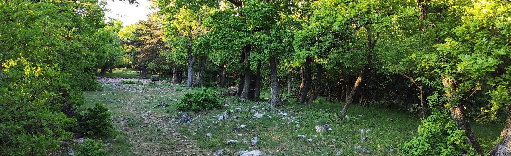 Budakeszi - Mountain Hárs: 4 Reviews, Map - Pest, Hungary | AllTrails