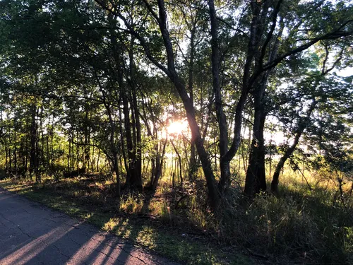 Best Hikes and Trails in Addicks Reservoir | AllTrails