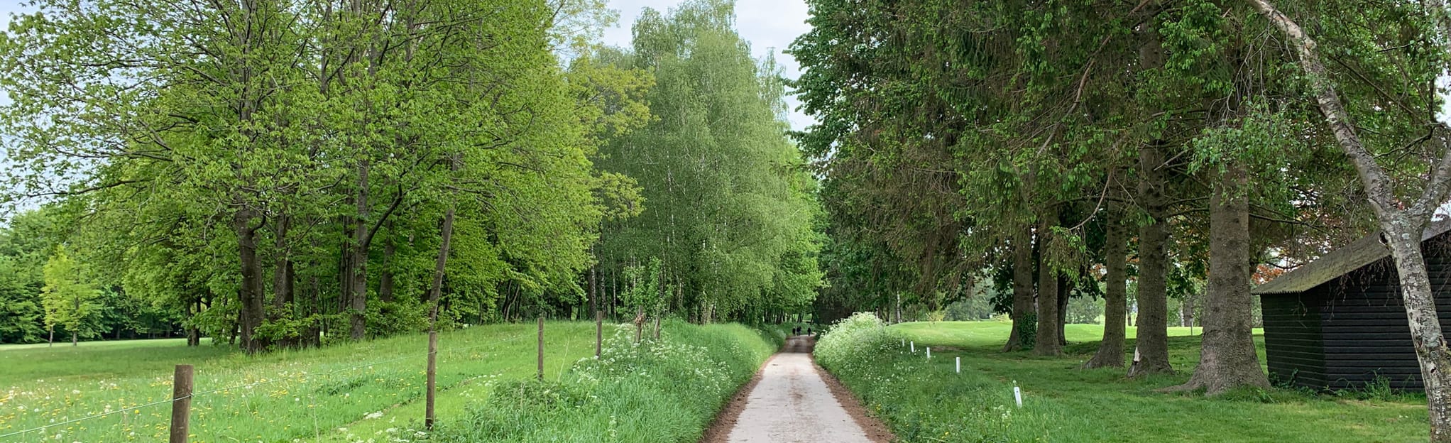 Rixensart - Ohain - Visite à vélo du Bois de Palanthe : 73 Photos ...