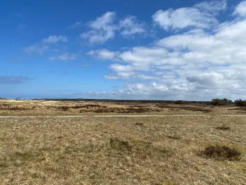 2023 Best 10 Forest Trails in Liseleje | AllTrails