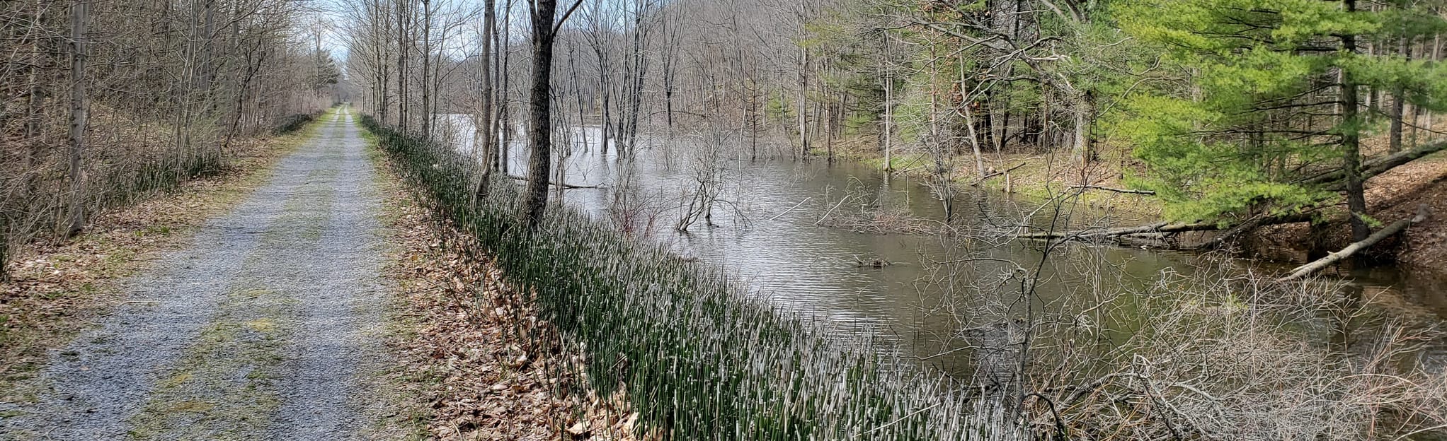 Cataraqui Trail, Ontario, Canada - 218 Reviews, Map | AllTrails