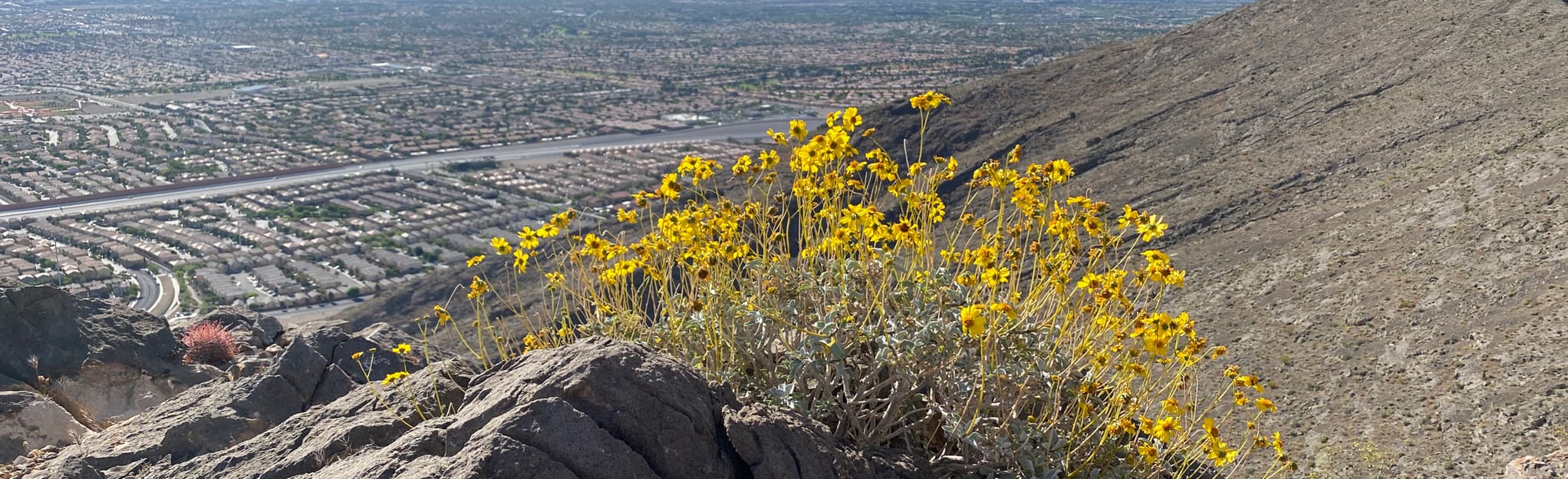 Cheyenne Peak via Gilmore Cliff, Middle Earth, and Hunter Mountain ...