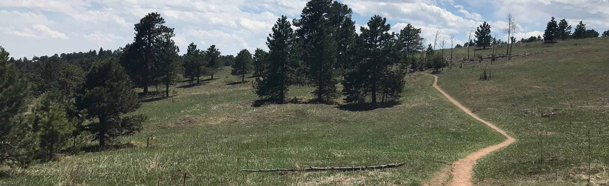 Colorow Mountain Forest and Meadow Loop Trail, Colorado - 508 Reviews ...