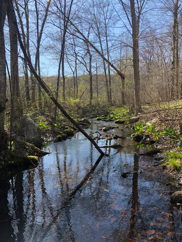 Best Hikes and Trails in Nehantic State Forest | AllTrails