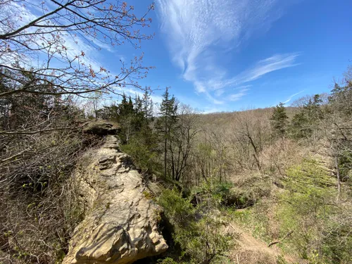 Best Hikes and Trails in Natural Bridge State Park | AllTrails