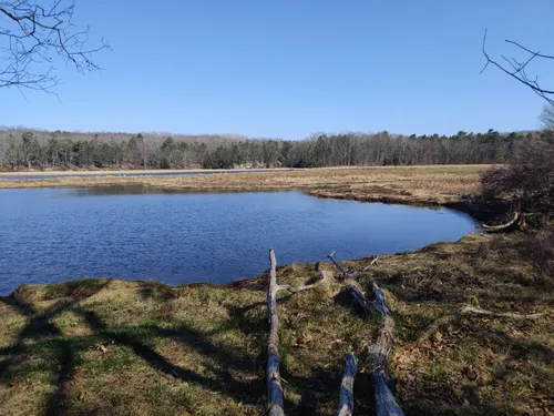 Best Hikes and Trails in Segerstrom Preserve | AllTrails