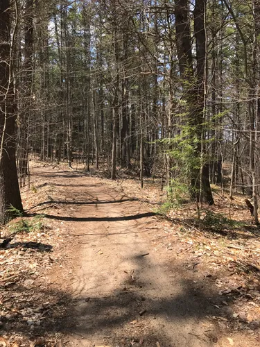 Best Horseback Riding Trails in Bear Brook State Park | AllTrails