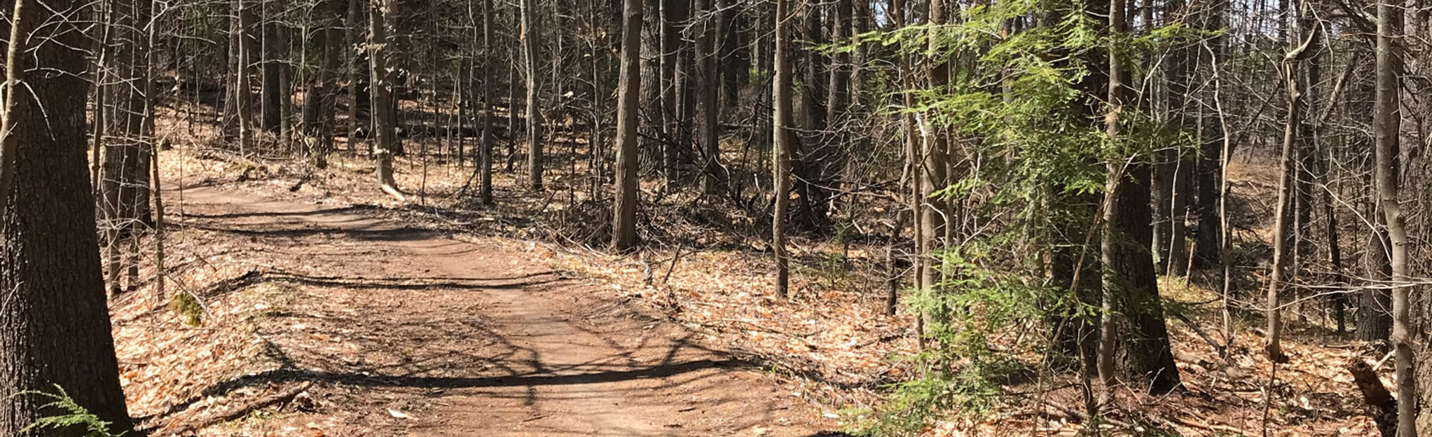 Broken Boulder Smiths Pond Trail: 24 Reviews, Map - New Hampshire ...