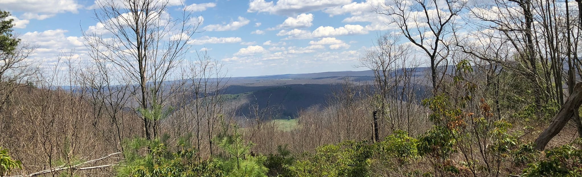 Chimney Rock Trail, Pennsylvania - 25 Reviews, Map | AllTrails