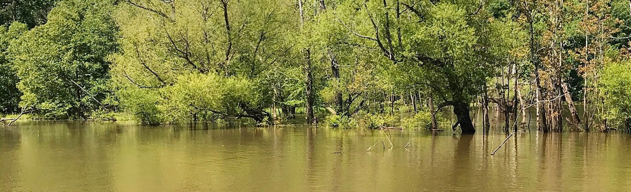 Old Creedmor to Abandoned Homestead Loop [CLOSED], North Carolina - 33 ...