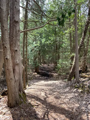 Best Bird Watching Trails in Goodrich-Loomis Conservation Area | AllTrails