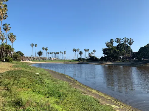 2023 Best Wild Flowers Trails in Playa Del Rey | AllTrails