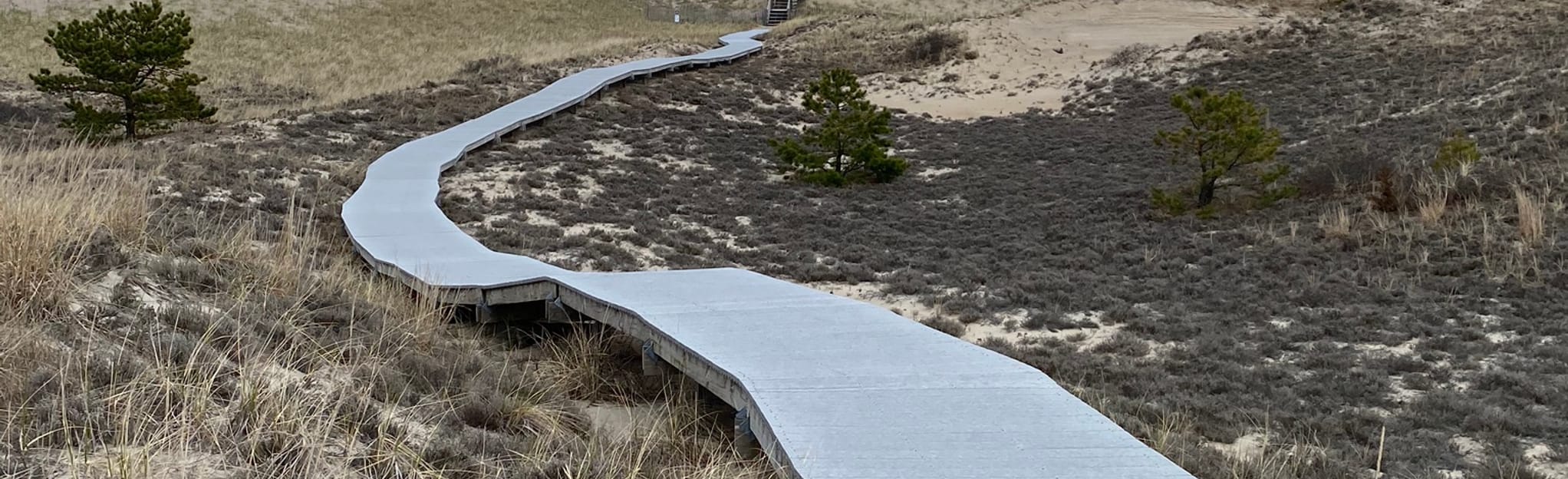 Pine Connector Trail: 24 Reviews, Map - Massachusetts | AllTrails