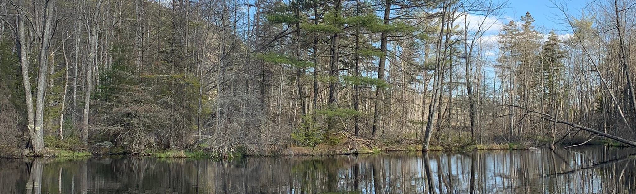 Mount Watatic: 1127 Reviews, Map - Massachusetts | AllTrails