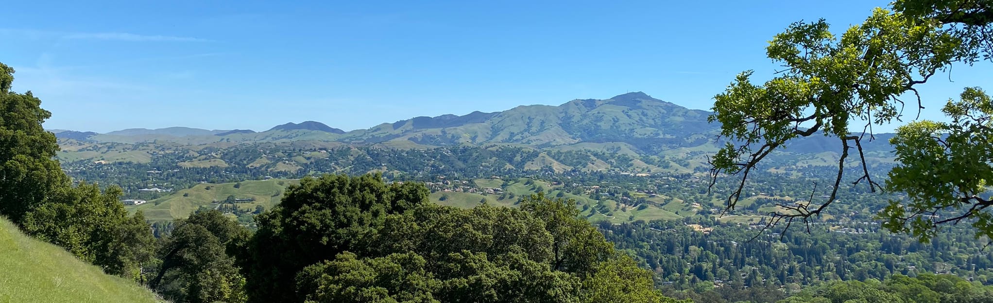 Camille, Corduroy Hills, Ridge, and Madrone Trail Loop, California ...