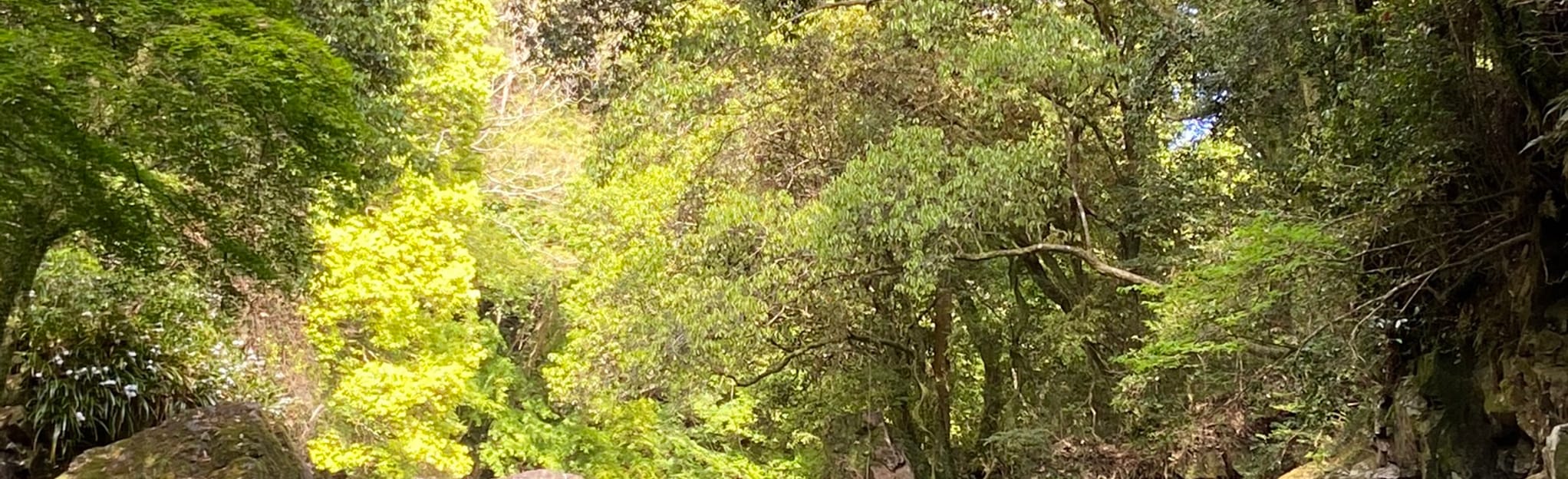 Kaminokuchi - Shirataki Falls: 4 foto's - Osaka, Japan | Wandelen ...