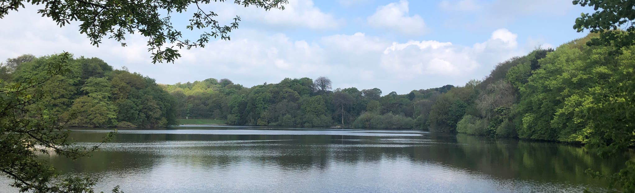 Knypersley Reservoir Circular, Cheshire, England - 119 Reviews, Map ...