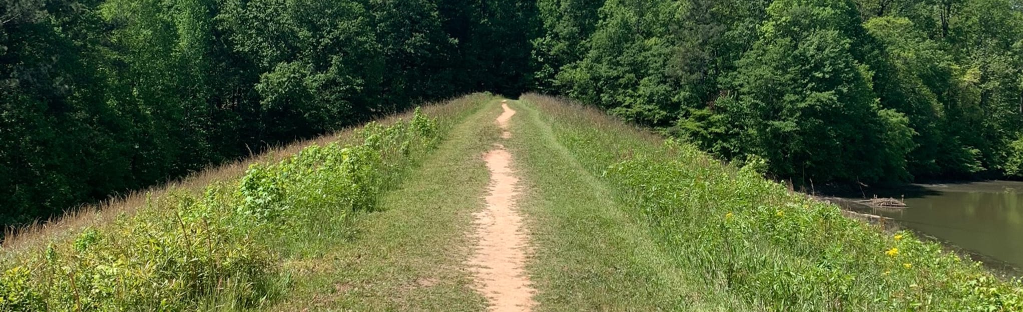 Lake Loop Trail | Map, Guide - Georgia | AllTrails