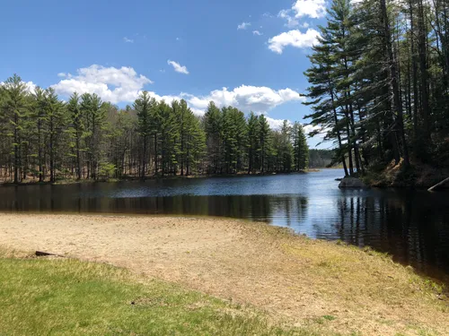 Best Hikes and Trails in Wendell State Forest | AllTrails