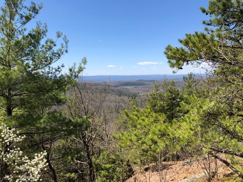 Best Hikes and Trails in Wendell State Forest | AllTrails