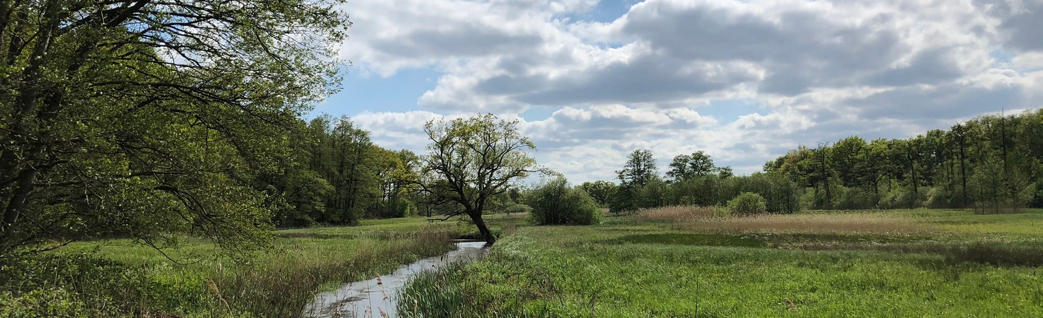 Oudemolen - Taarlo, Drenthe, Netherlands - Map, Guide | AllTrails