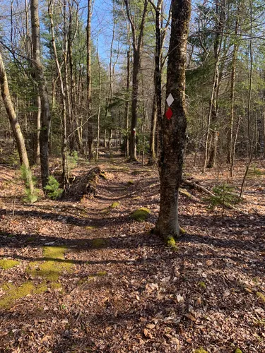 Best Hikes and Trails in Dyken Pond Environmental Education Center ...
